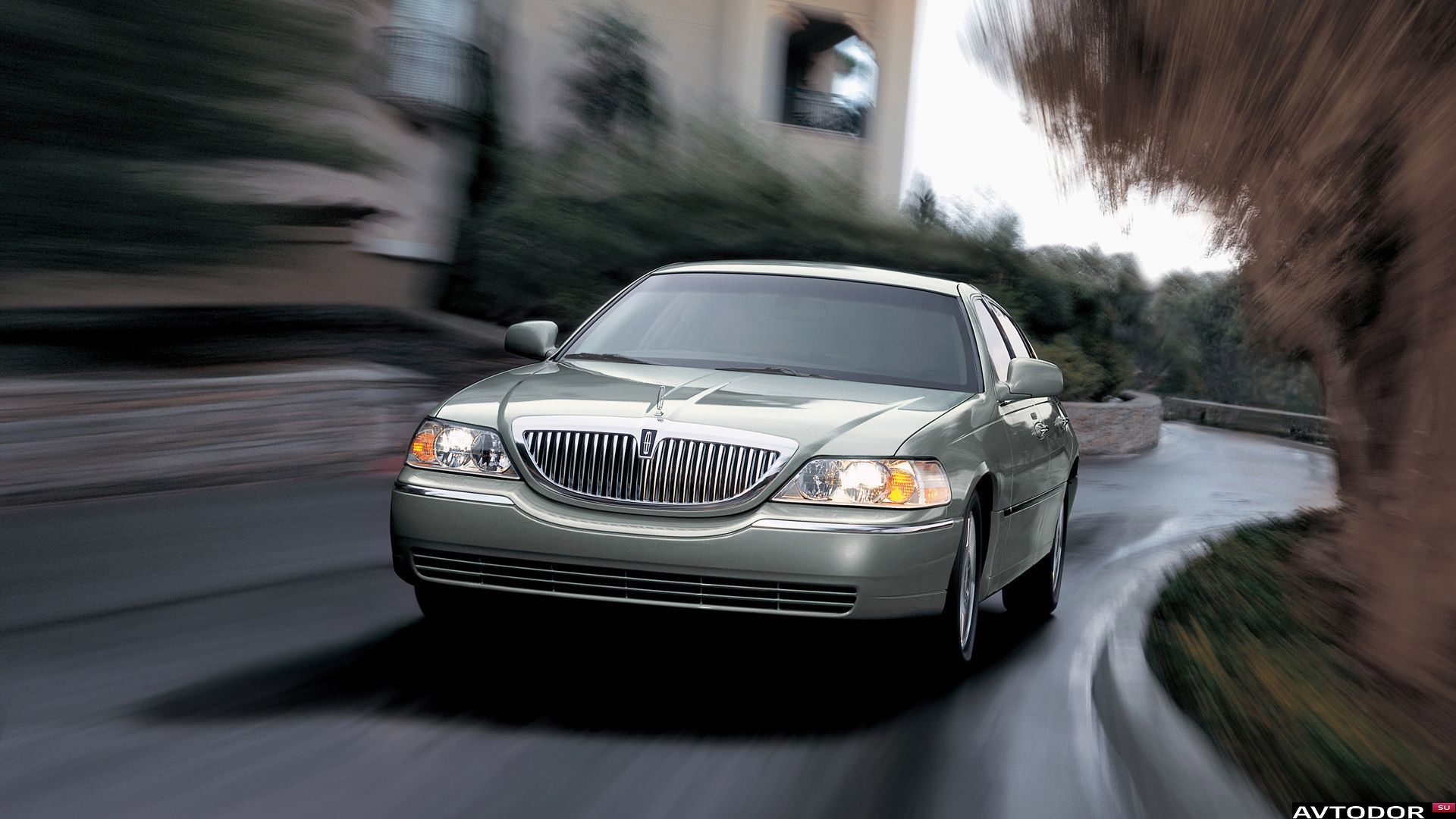 Bird Limo Service the word in Airport Car Service Transportation.